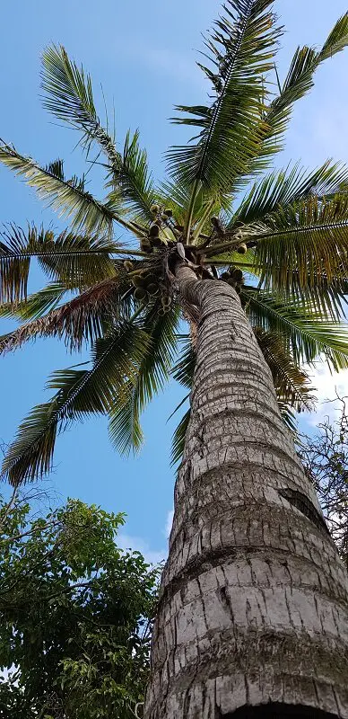 Saiba onde se hospedar na Praia do Tofo, surf de Moçambique