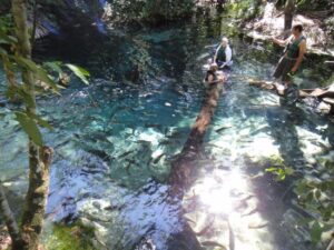 O que fazer em Nobres, em Mato Grosso? Vem comigo descobrir!